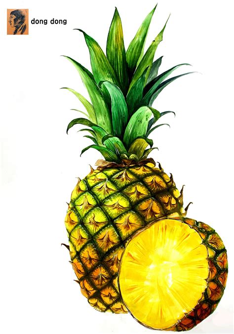 파인애플 기초디자인 Fruit Bowl Drawing Pineapple Fruits Photos Space