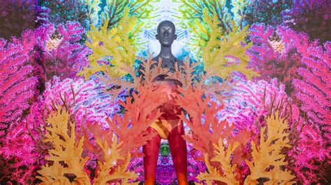 Store And Interior Design Domagoj Mršić