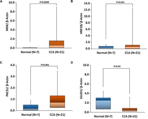 Identification Of Prognostic Markers In Cholangiocarcinoma Using