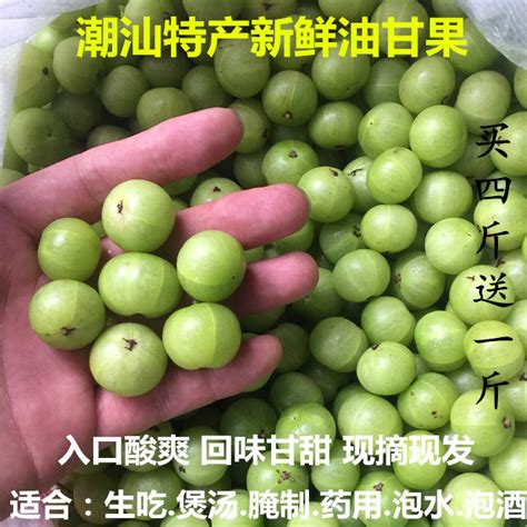 潮汕油甘 潮汕油甘汁 潮汕甜种油甘 第9页 大山谷图库
