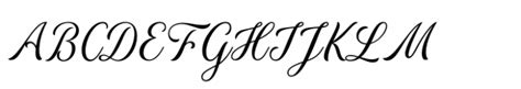 Roberts Script Light Font Script Elegant What Font Is