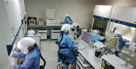 Bsl 3 Laboratory At Virology Lab