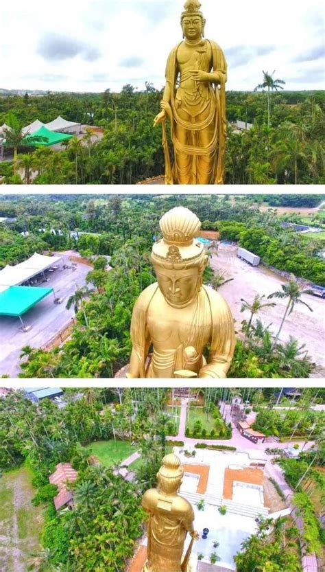 태풍으로 쓰러진 일본 거대불상 인스티즈 Instiz 이슈 카테고리