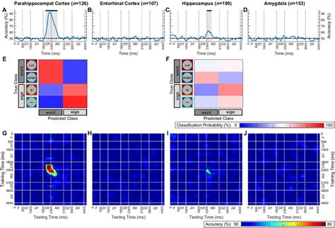 Figure S5 Rule Notation Decoding Using An Svm Classifier Related To Download Scientific