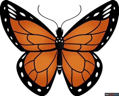 How To Draw A Butterfly