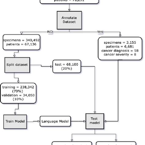 Flowchart Diagram Of The Proposed Pipeline Training And Evaluation
