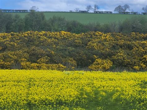 영국여행 런던에서 에든버러 가는 방법 총정리비행기 기차 예매방법 좌석 선택 꿀팁 네이버 블로그