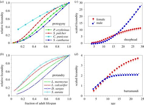 Consequences Of Sex Change For Effective Population Size PMC
