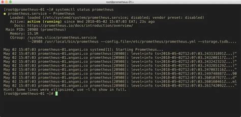 Install Prometheus Server On Centos 7 Rhel 7 Computingforgeeks