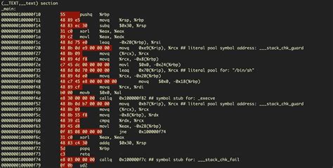 How Attackers Use Shellcodes To Exploit A Vulnerable System Packt Secpro