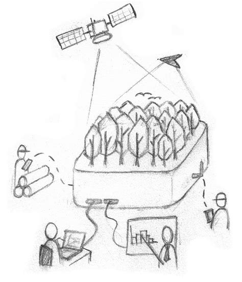 6 Principles That Help To Design A Robust Forest Information System Openforests Blog