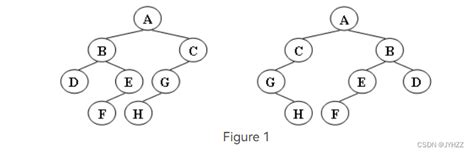4 11 Isomorphic Csdn博客