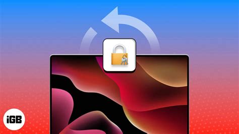 Autofill Not Working On Iphone Try These Fixes