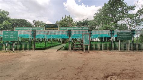 ကြို့ပင်ကောက်မြို့နယ် ဒေသတွင်းစိမ်းလန်းစိုပြေရေးအတွက် မြို့နယ်သစ်တောဦးစီးဌာနတွင် ပျိုးပင်ပေါင