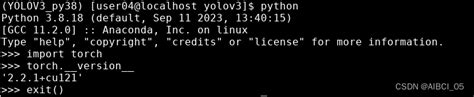 python代码出现segmentation fault和 Process finished with exit code fatal python error