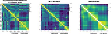 Predicting The Clinical Impact Of Human Mutation With Deep Neural Networks Nature Genetics