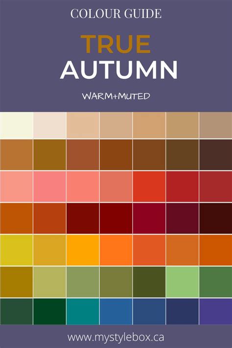 Pin By Metanet Yusifzade On Colors Fall Color Palette Deep Autumn