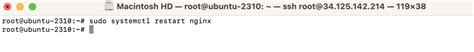 how to set up nginx server blocks on ubuntu 23 10 devtutorial