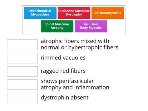 Muscle Wasting And Diffuse Athrophy Une Las Parejas