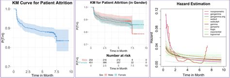 Kaplan Meier KM Curve KM Curves Stratified In Genders And Hazard Download Scientific Diagram