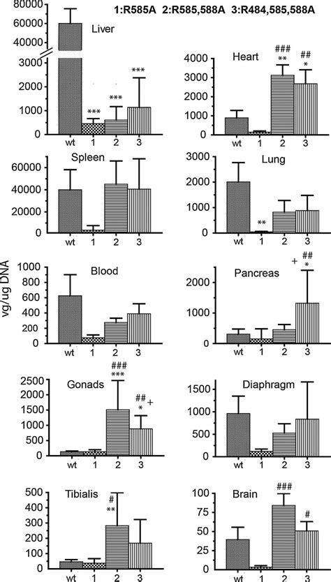 Viral Genome Copy Numbers In Selected Tissues After Mouse Tail Vein