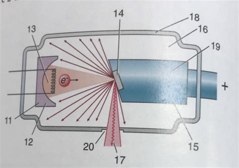 Radiography Lecture Review Flashcards Quizlet