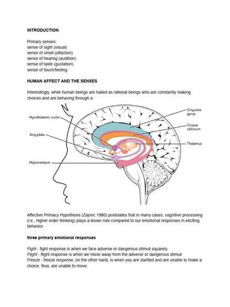 Sex And Senses Pdf Sexual Arousal Behavioural Sciences