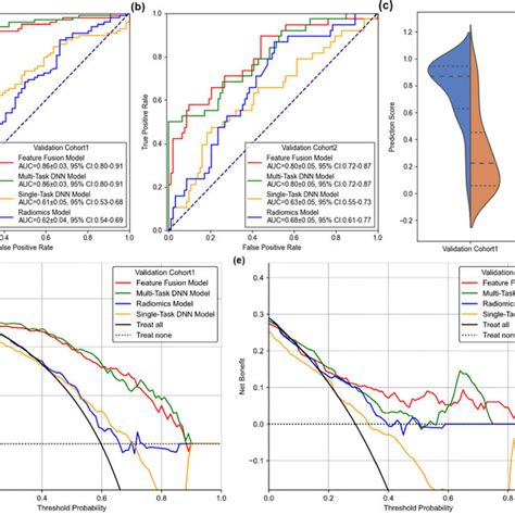 The Results Of Our Proposed Models In Predicting Egfr Mutation Status