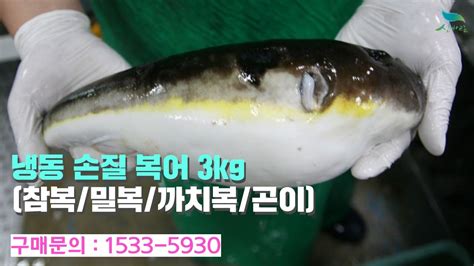 신바람 농산물 협력농가 판매상품 1533 5930 신선마켓com 냉동 손질 복어 3kg참복밀복까치복곤이 Youtube