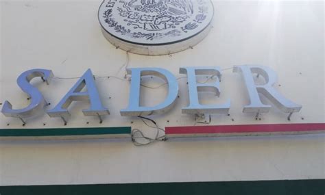 Sader Prohibió Plaguicidas En Desuso Y Excluyó A Los Altamente Tóxicos