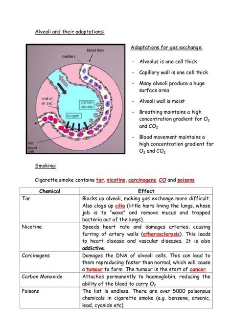 Igcse Biology Artofit