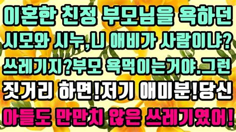 카카오실화사연 이혼한 친정 부모님을 욕하던시모와 시누니 애비가 사람이냐쓰레기지부모 욕먹이는거야그런짓거리 하면저기 애미분당신아들도 만만치 않은 쓰레기였어