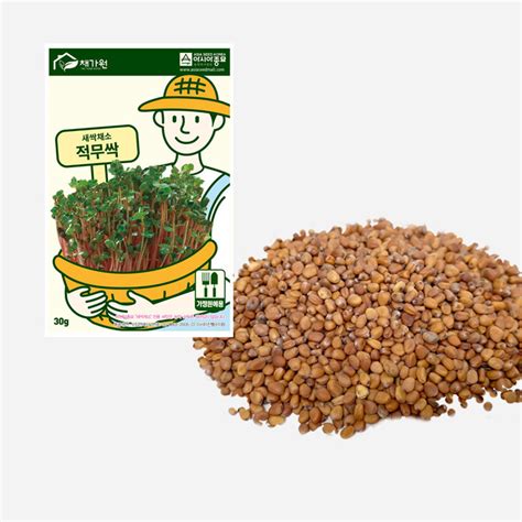 적무 새싹씨앗 30g 코아코아