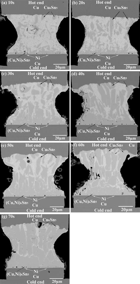 Cross Sectional Microstructure Of 100 μm Diameter Hourglass Microbump Download Scientific