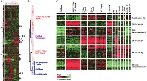 Hierarchical Clustering Based On Gene Expression Data Obtained From 66