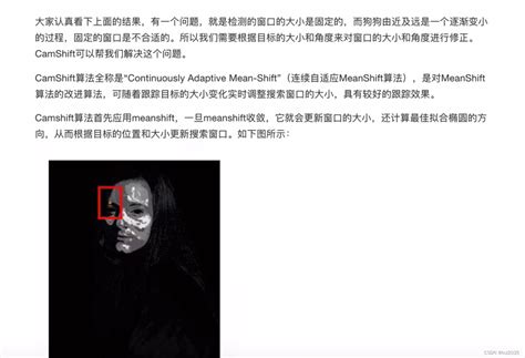Opencv利用camshift实现目标追踪摄像头自动跟踪算法 Csdn博客