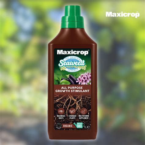 Maxicrop All Purpose Plant Growth Stimulant Glee Birmingham 2025