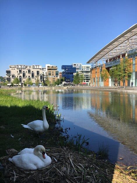 Premium Photo Confluence Lyon