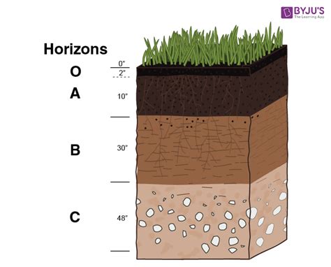 Soil Properties Of Soil Soil Conservation Chemistry Byju S