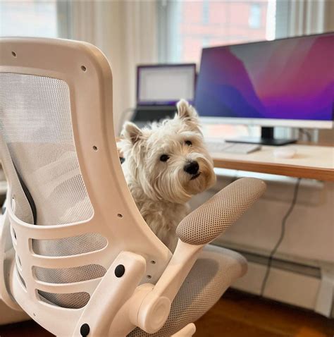 Im Busy Album On Imgur