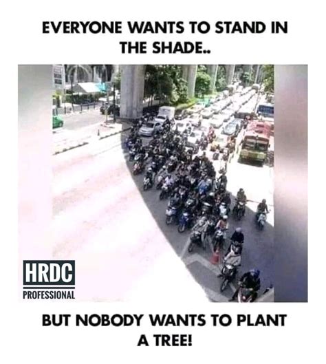 Nafees Ahmed Posted On Linkedin