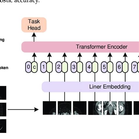 The Detailed Architecture Of The Gcn Feature Fusion Net This Intricate Download Scientific