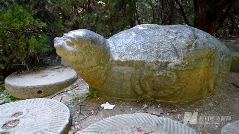 映巷lab〡“诗意栖居，绿林长安” 西安“宝藏”公园盘点之沣河森林公园 每日经济网