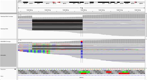 Germline Snv And Indel Calling Griffith Lab
