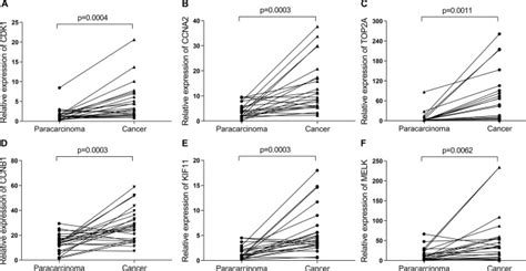 Identification Of Potential Crucial Genes And Key Pathways In Breast Cancer Using Bioinformatic