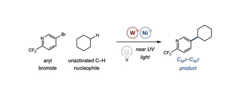 Photoredoxmerck Macmillan Group