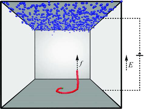 Typical Simulation Snapshot Of A Grafted Polyelectrolyte Exposed To Download Scientific Diagram