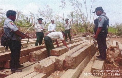 နေပြည်တော်၊ ပြည်နယ်နှင့်တိုင်းဒေသကြီးများမှ တရားမဝင်သစ်များ ဖမ်းဆီးရမိ Myanmar Digital News