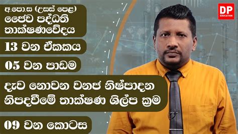 13 වන ඒකකය පාඩම 05 දැව නොවන වනජ නිෂ්පාදන නිපදවීමේ තාක්ෂණ ශිල්ප ක්