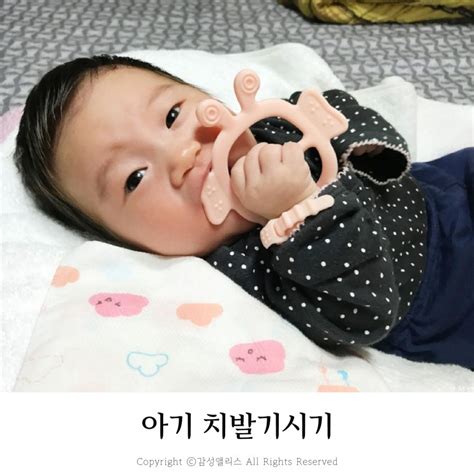 치발기 사용시기 알아보고 아기 치발기 추천손목 기린 바나나 글러브 네이버 블로그